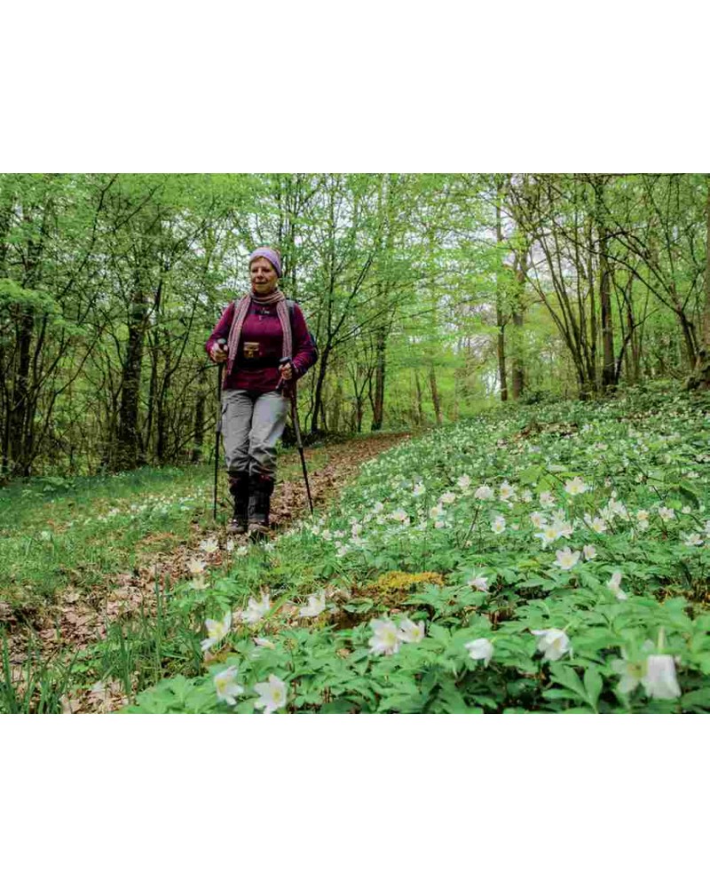 La Grande Traversée de la Forêt du Pays de Chimay