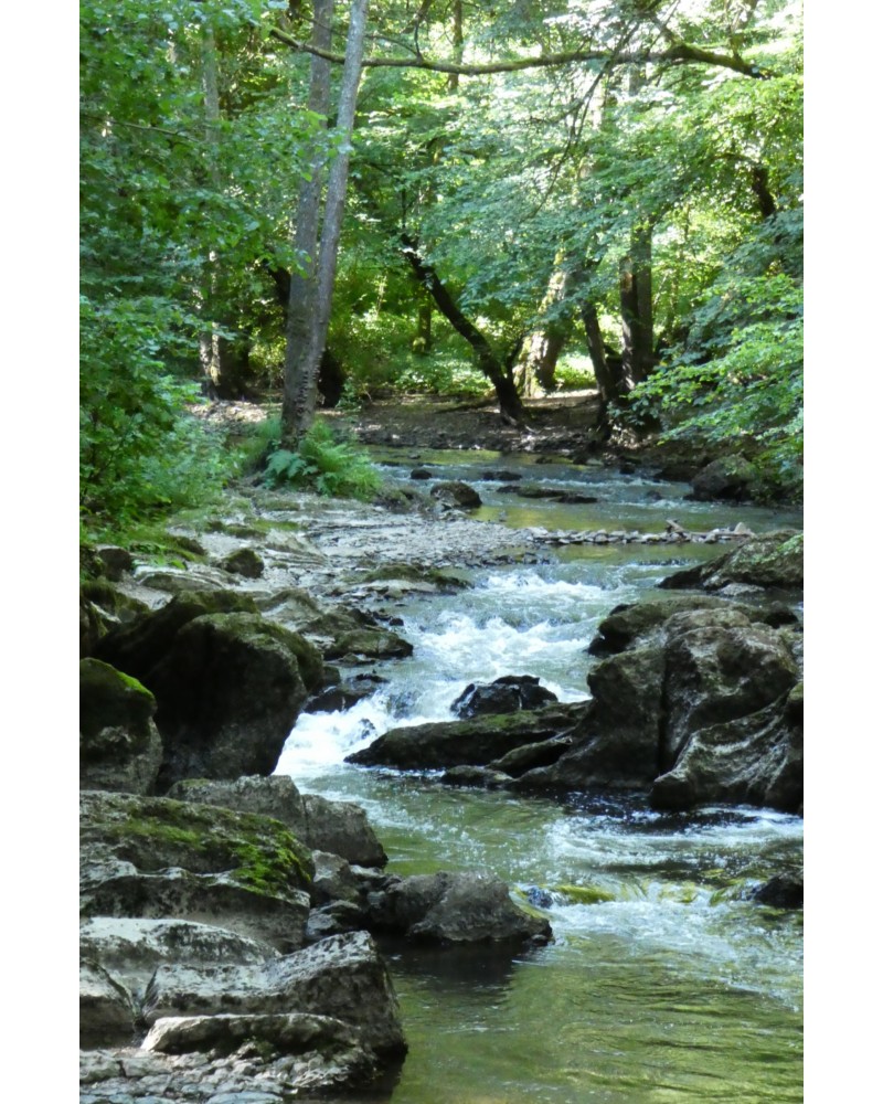 GR 17 La Lesse et la Lomme par les GR