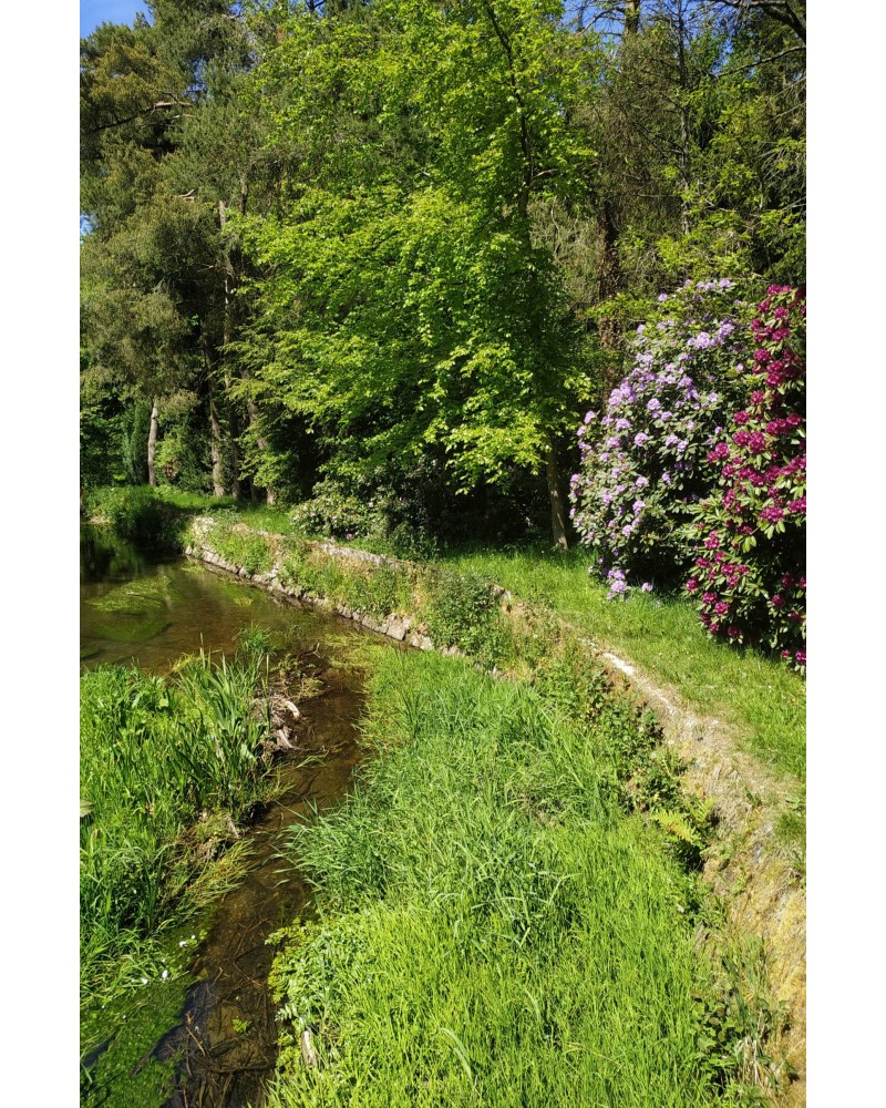 GR 17 La Lesse et la Lomme par les GR