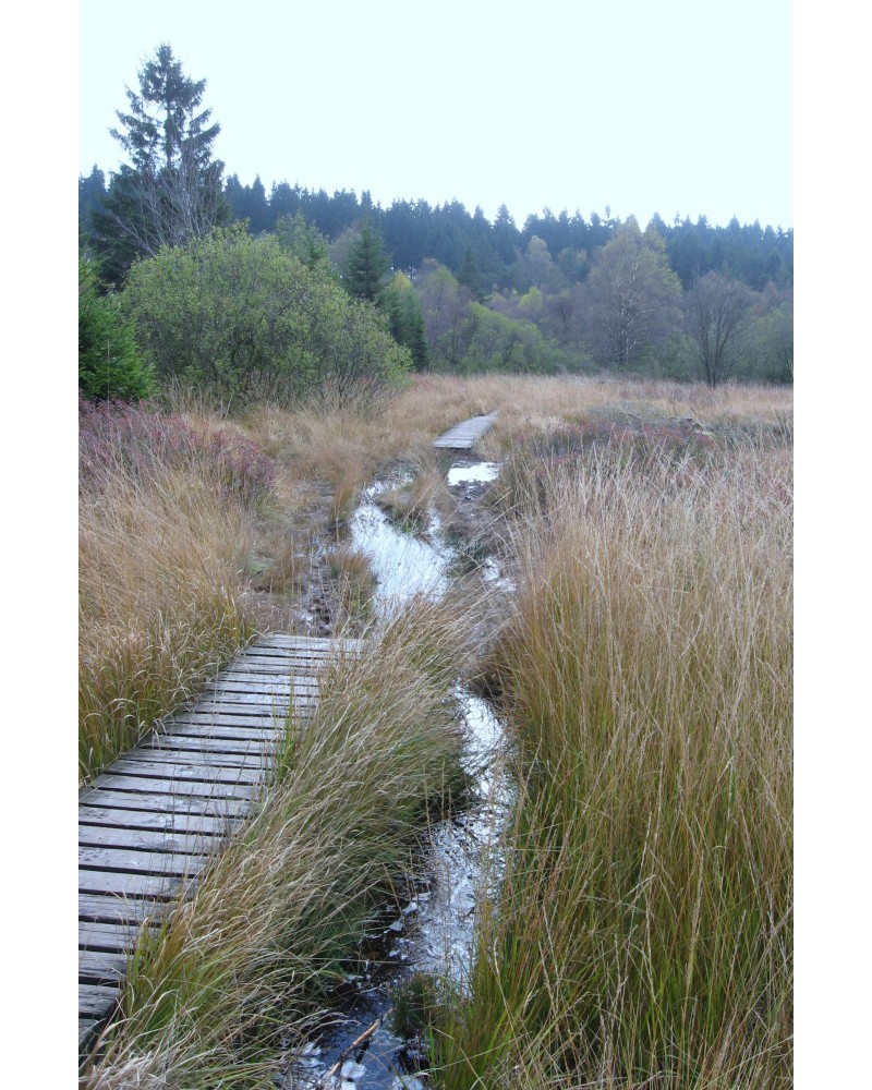 GR 56 Sentiers de l'Est de la Belgique Ostbelgische Wanderwege