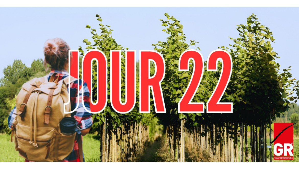 Calendrier : En Avent ! - Les Sentiers de Grande Randonnée Asbl